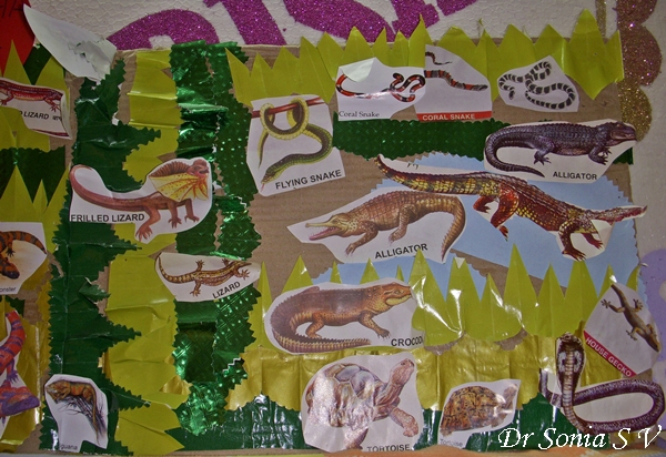 Reptiles Chart