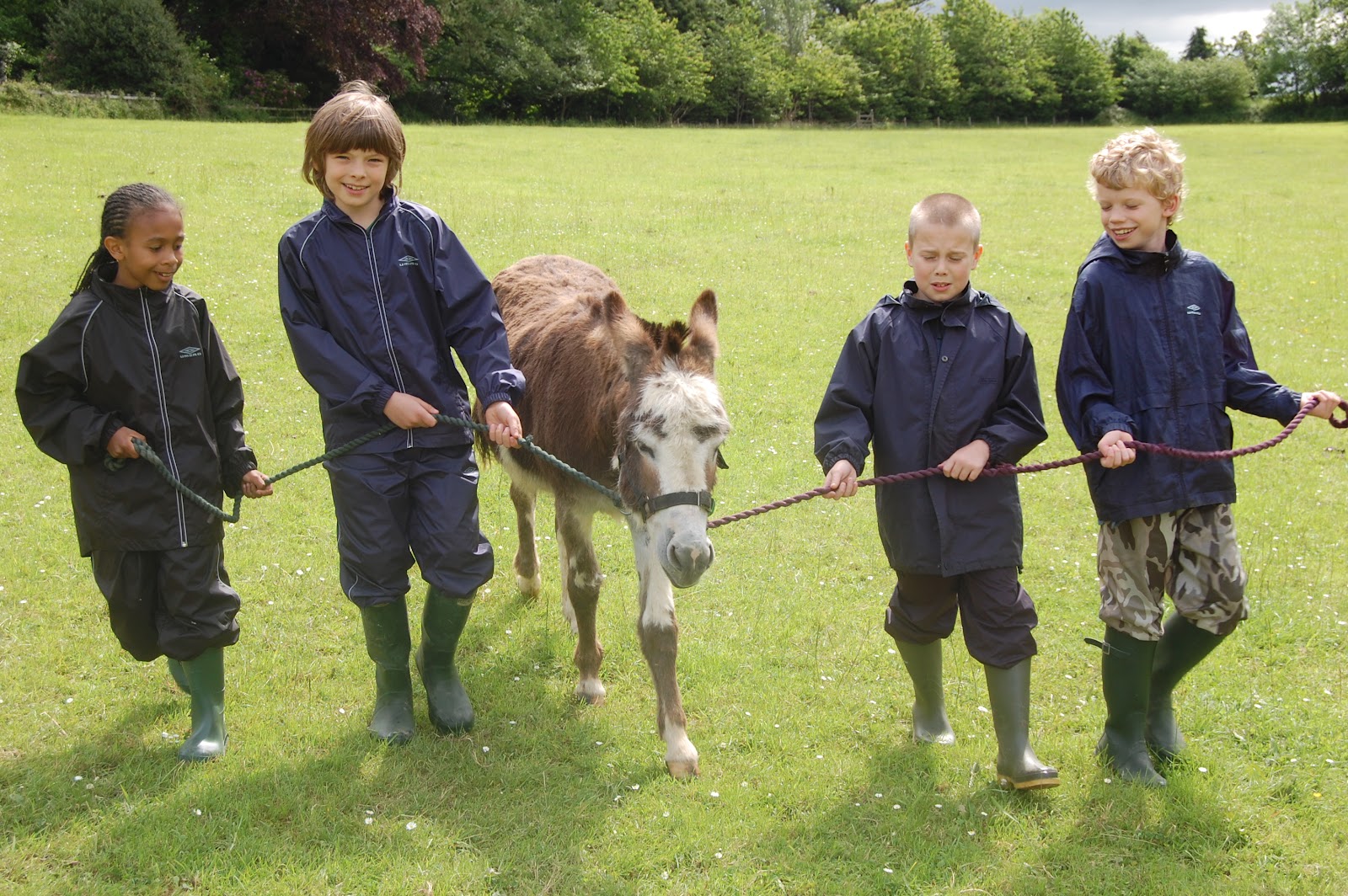 Holiday Cottages in the West Country: Farms For City Children - a week ...