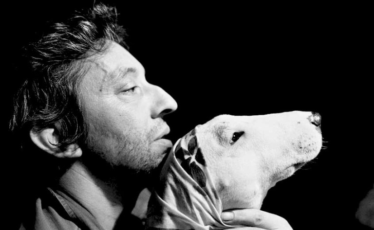 PERROS Y GATOS FAMOSOS: MÚSICOS & CANTANTES Y SUS PERROS Y GATOS.