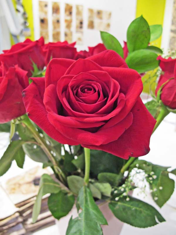 Jennifer Coyne Qudeen: Art math