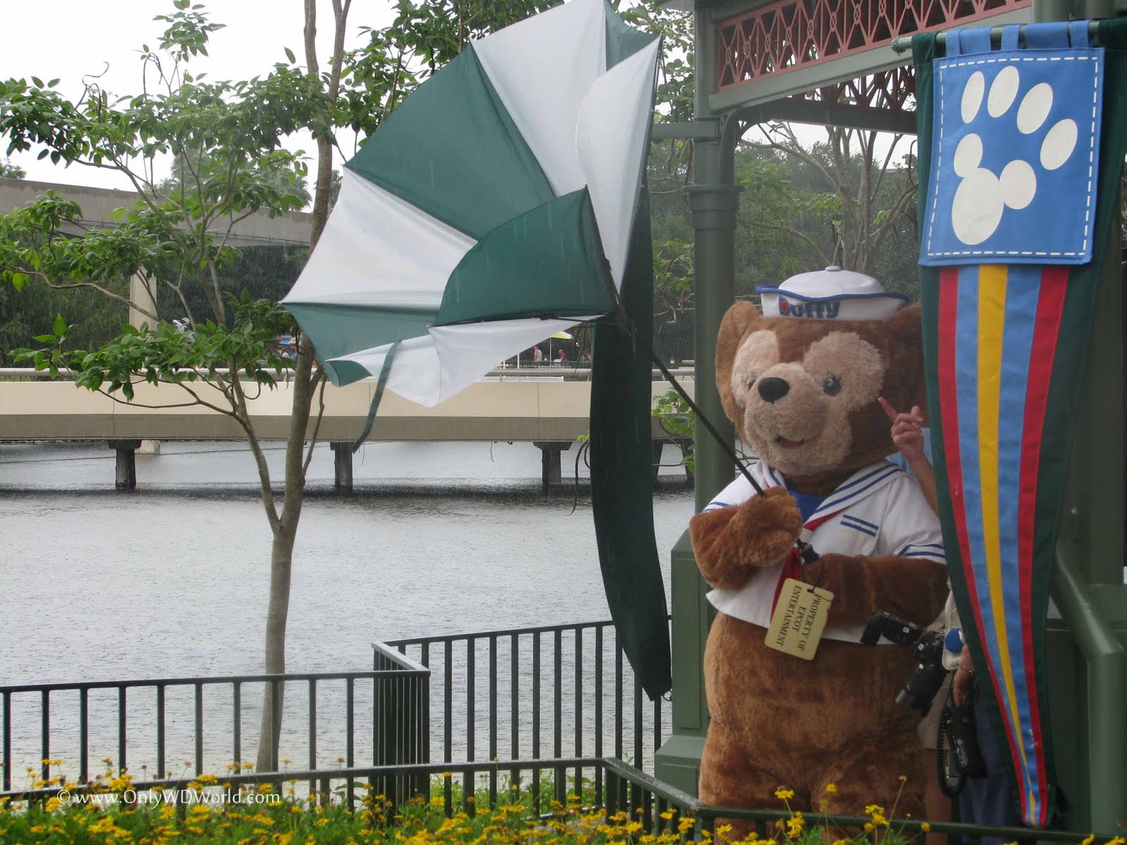 Duffy The Disney Bear Battles Umbrella At Epcot | Disney World Blog ...