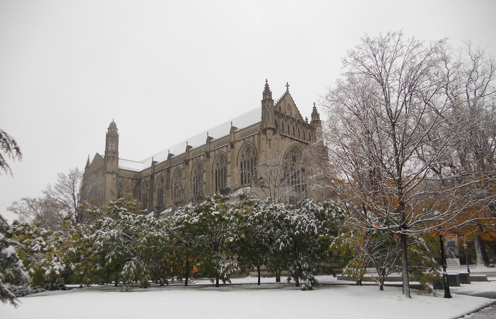 Nature Photography: First Snow at Princeton