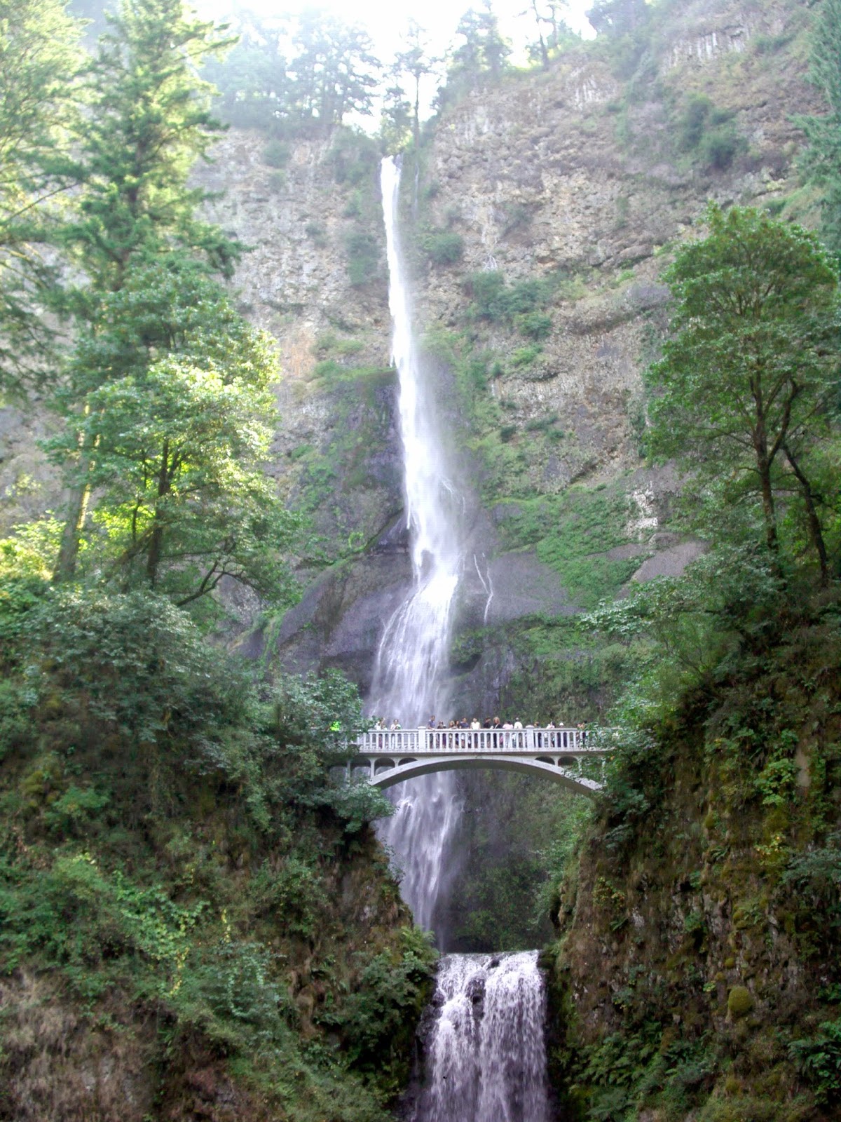 Haley Honda on the Highway