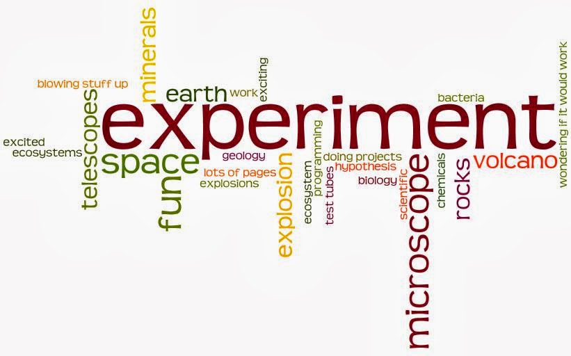 Miss L's Whole Brain Teaching: 2 Stars & A Wish: Week 1