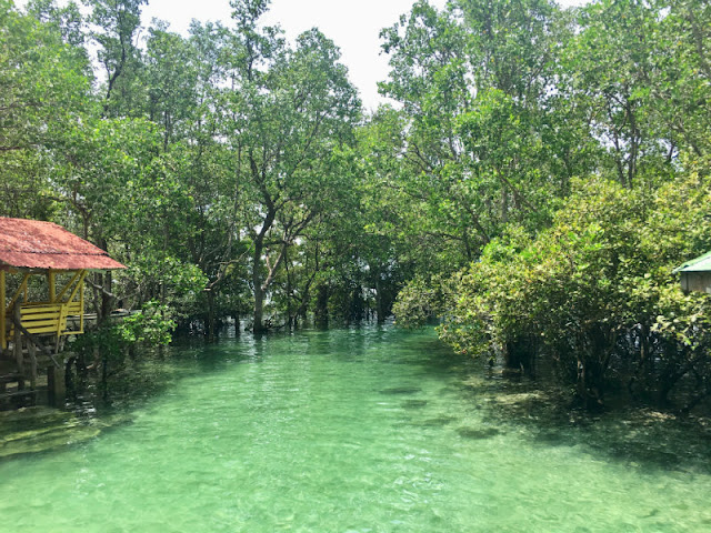 Obong Spring Obong Ruins and Obong Beach - Obong Dalaguete Cebu