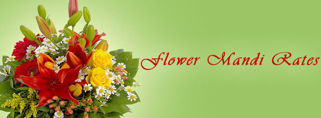 Flower Mandi Rates In India