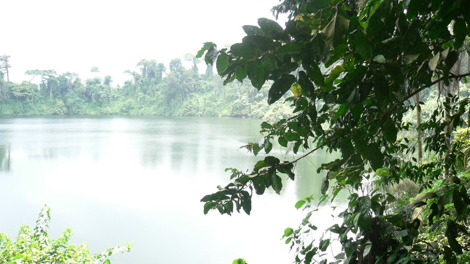 ngobithe: Direction lac de cratère à partir de Debunscha Cameroun