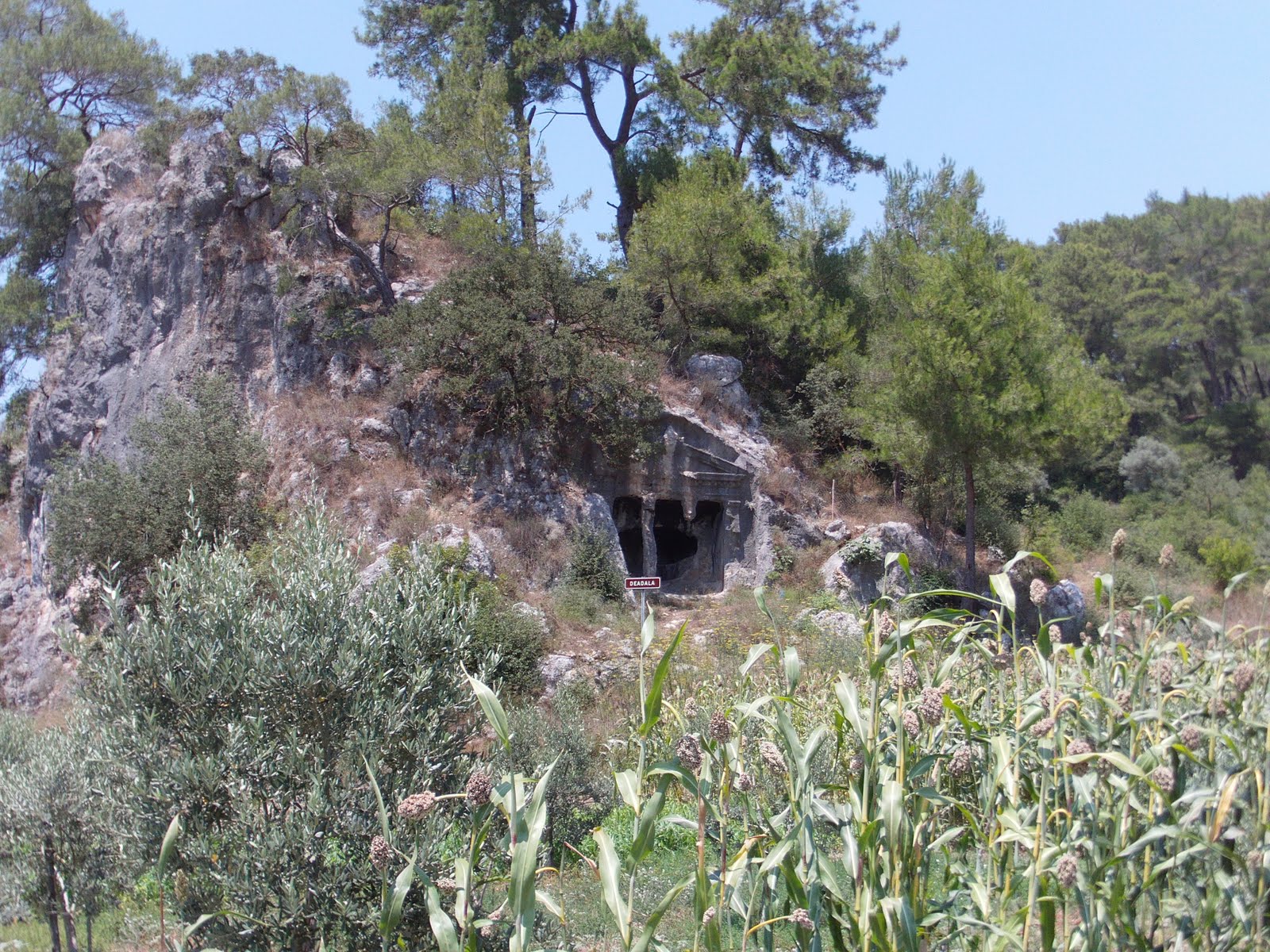 Erkmen Senan: Daedala/Daidala/İnlice Asarı-Göçek