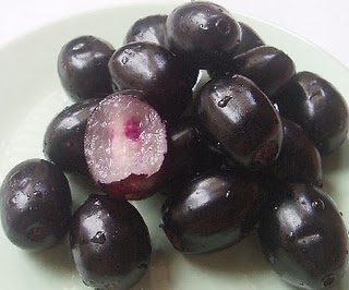 DUWET,/JAMBLANG/JAMBU KELING (Syzygium cumini) - Ensiklopedia Tumbuhan