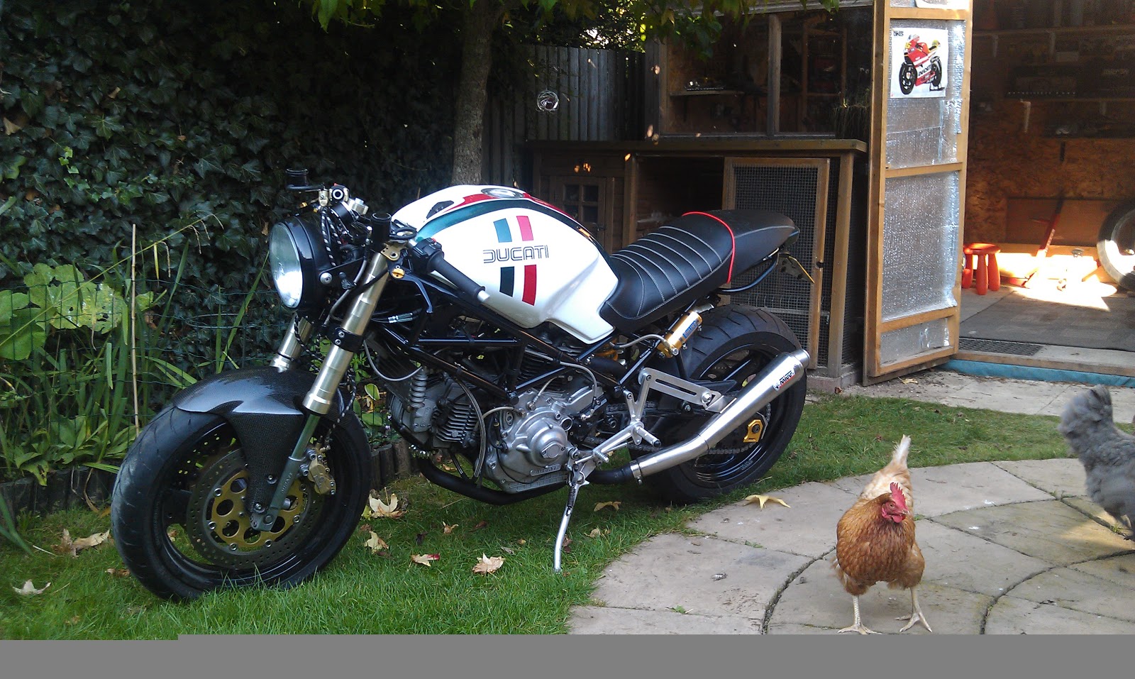 Chicken Shack Motorcycles: Re-Birth