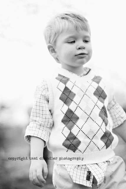 Tami Chandler Photography: two year-old towhead {mine}