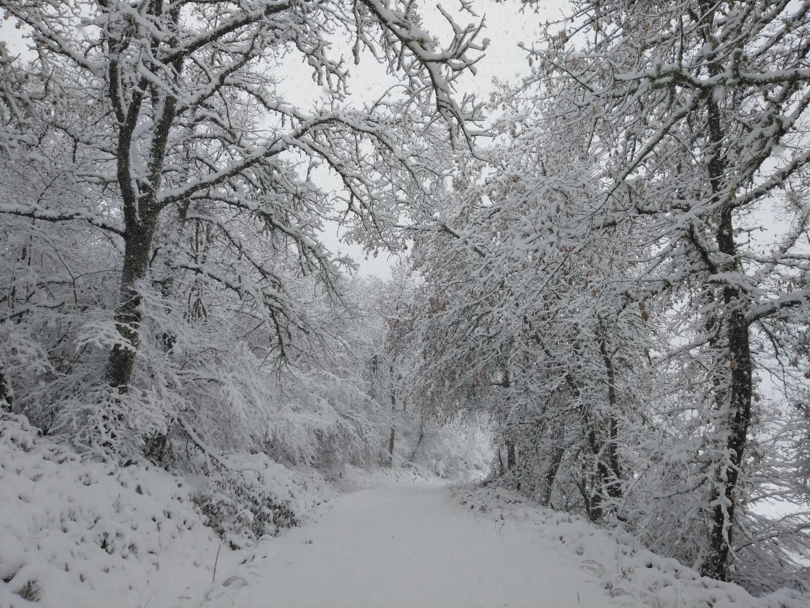 la contenedora: ¡LLegó el invierno! Winter is here!