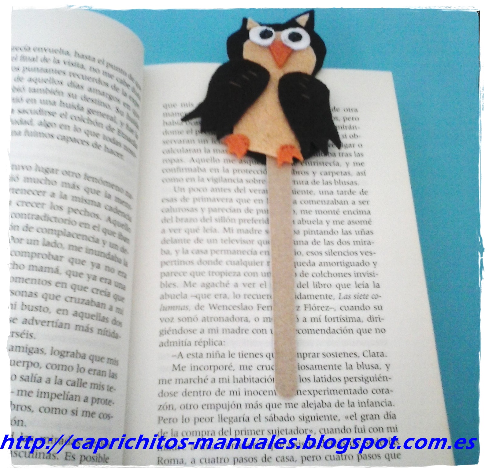 Caprichitos Manuales: El buho lector