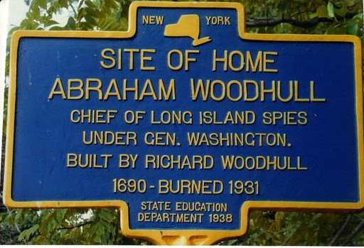 HISTORIA PARA NO DORMIR: TURN, espias de Washington: La historia real ...