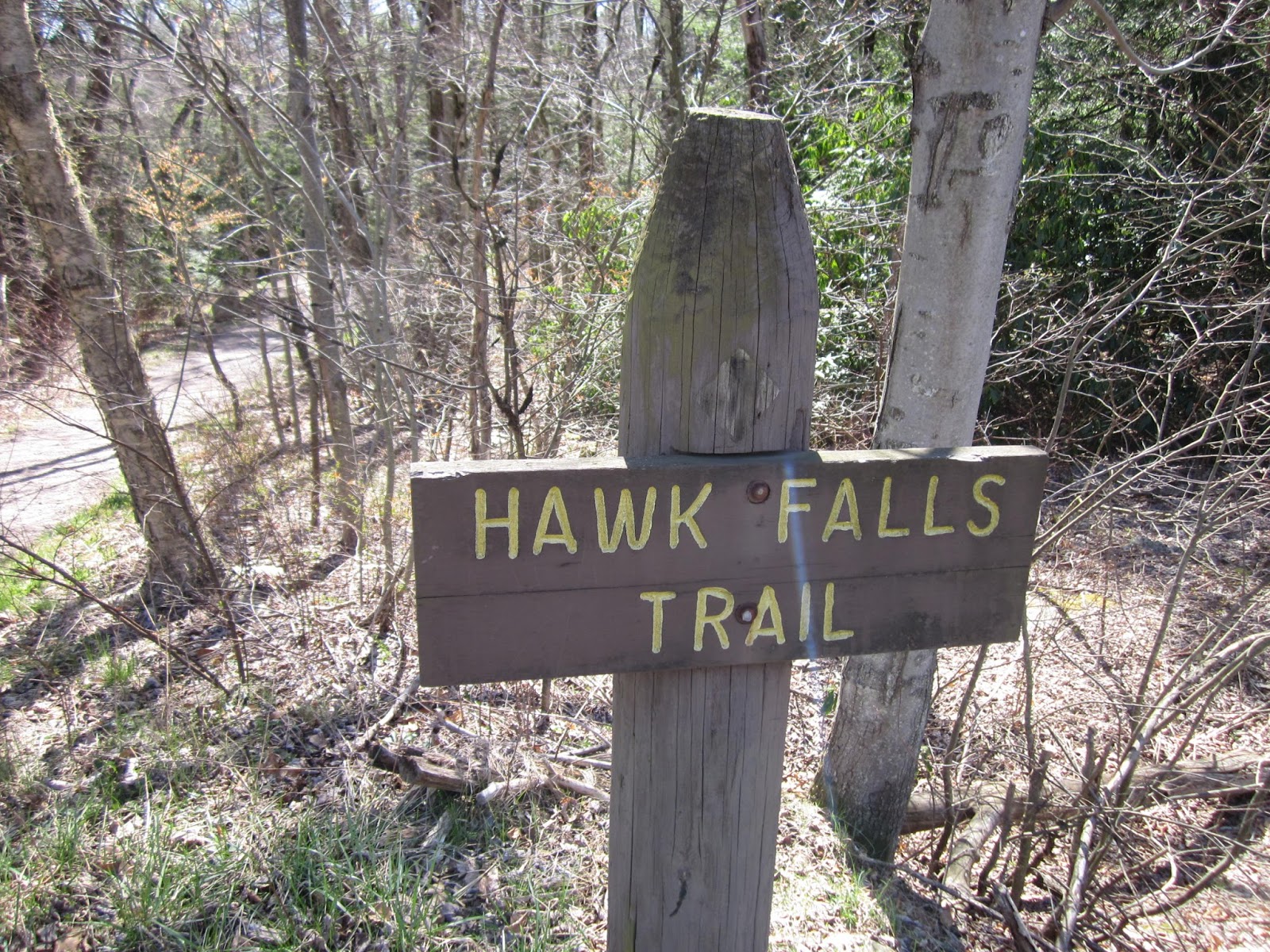 Hawk Falls