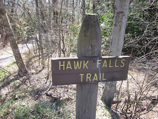 Hawk Falls