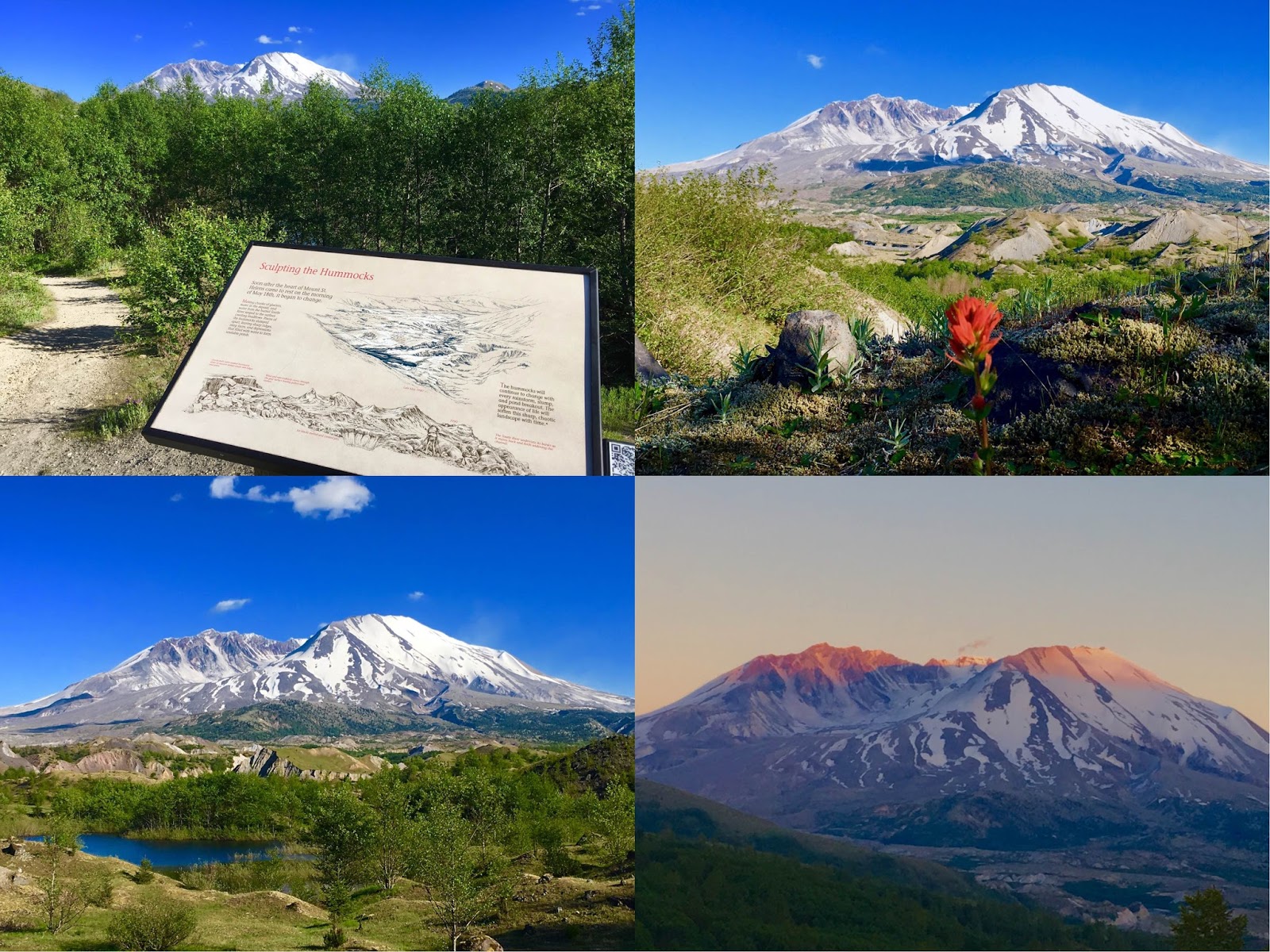 Life is a mountain.: Hummocks Trail and Boundary West Trail - Mount St ...