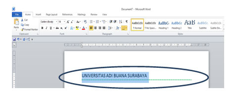 Eka Fitriani: CARA MEMBUAT BORDER DAN SHADING