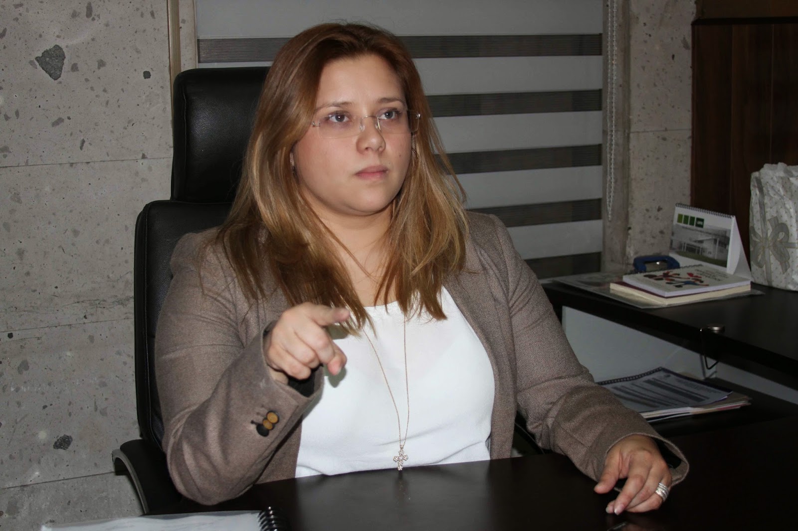 elfigaropozarica.blogspot.com: enero 2014