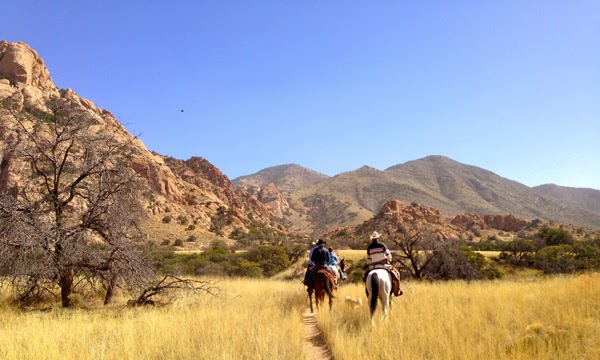 Camping and Horses : LAST DAYS AT THE DRAGOON MOUNTAINS