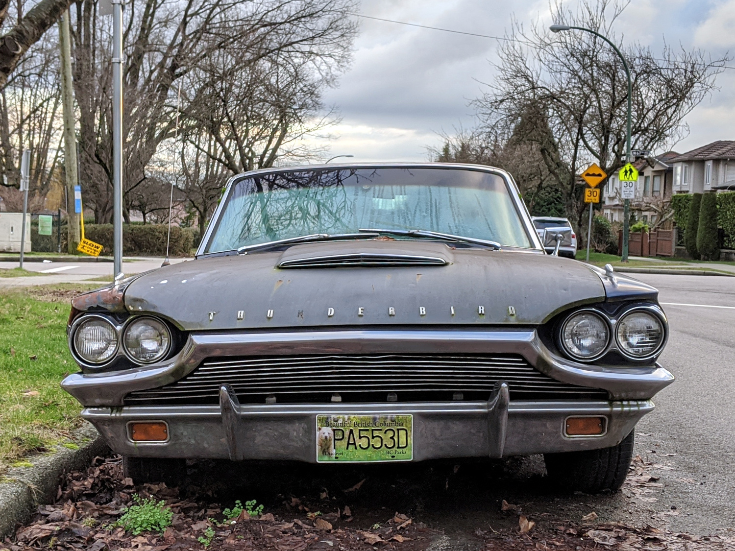 Old Parked Cars Vancouver: 1964 Ford Thunderbird