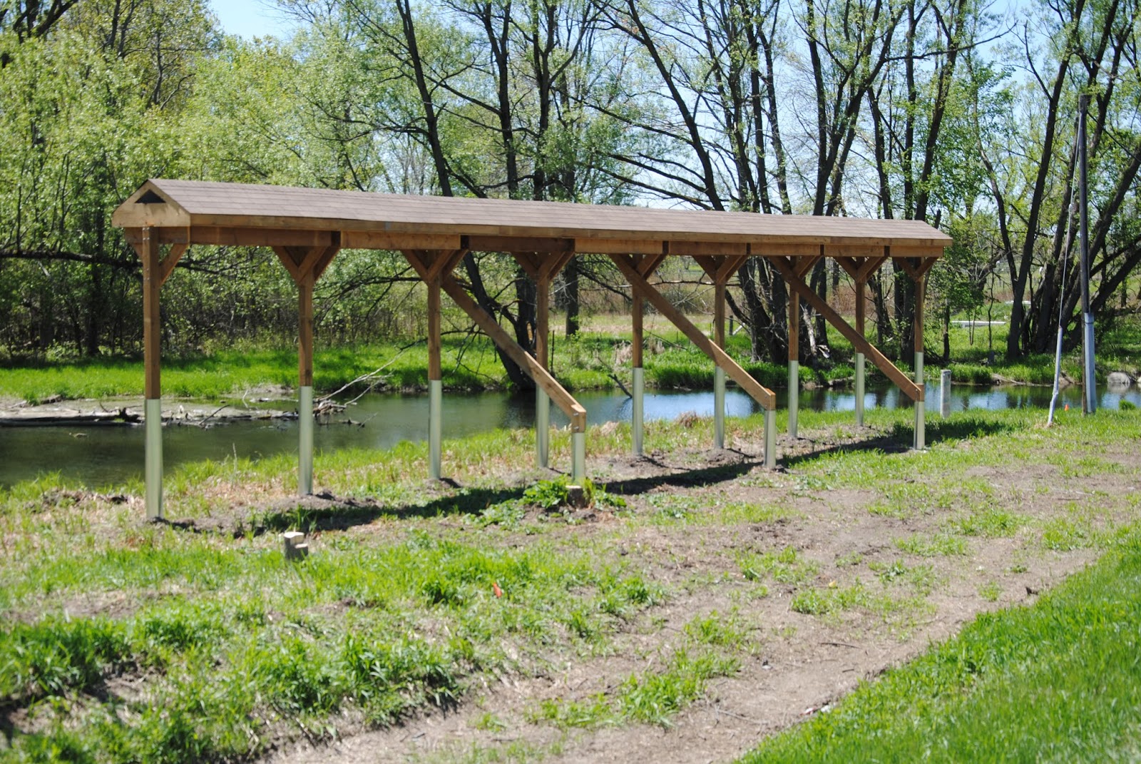 Camera on King & Aurora : 2nd Barn Swallow kiosk appears in King