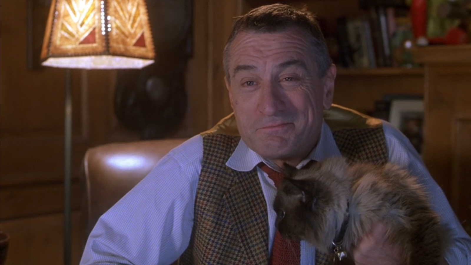 Jinxy Cat Meet The Parents