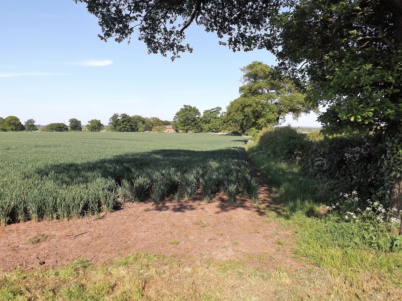 JJ's Wargames: Battle of Stoke Field, 16th June 1487