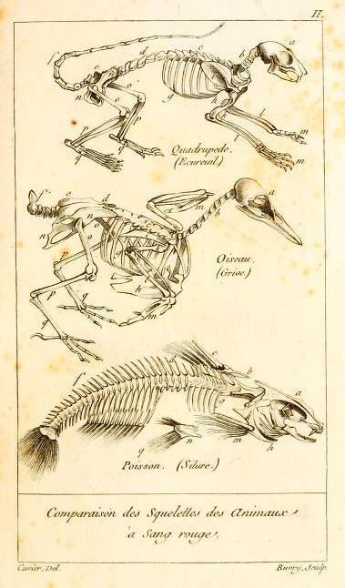 Discovering Darwin: 2016