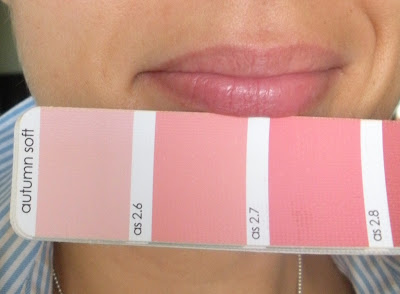 Beauty and Elegance: Choosing A Natural Lip Colour