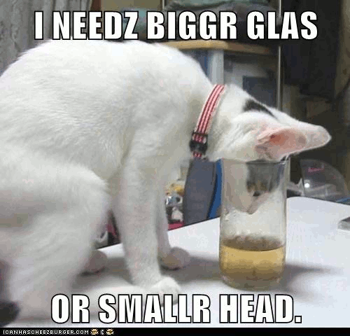 Grammar Catz: Grammar Cat #51: Thirsty Cat