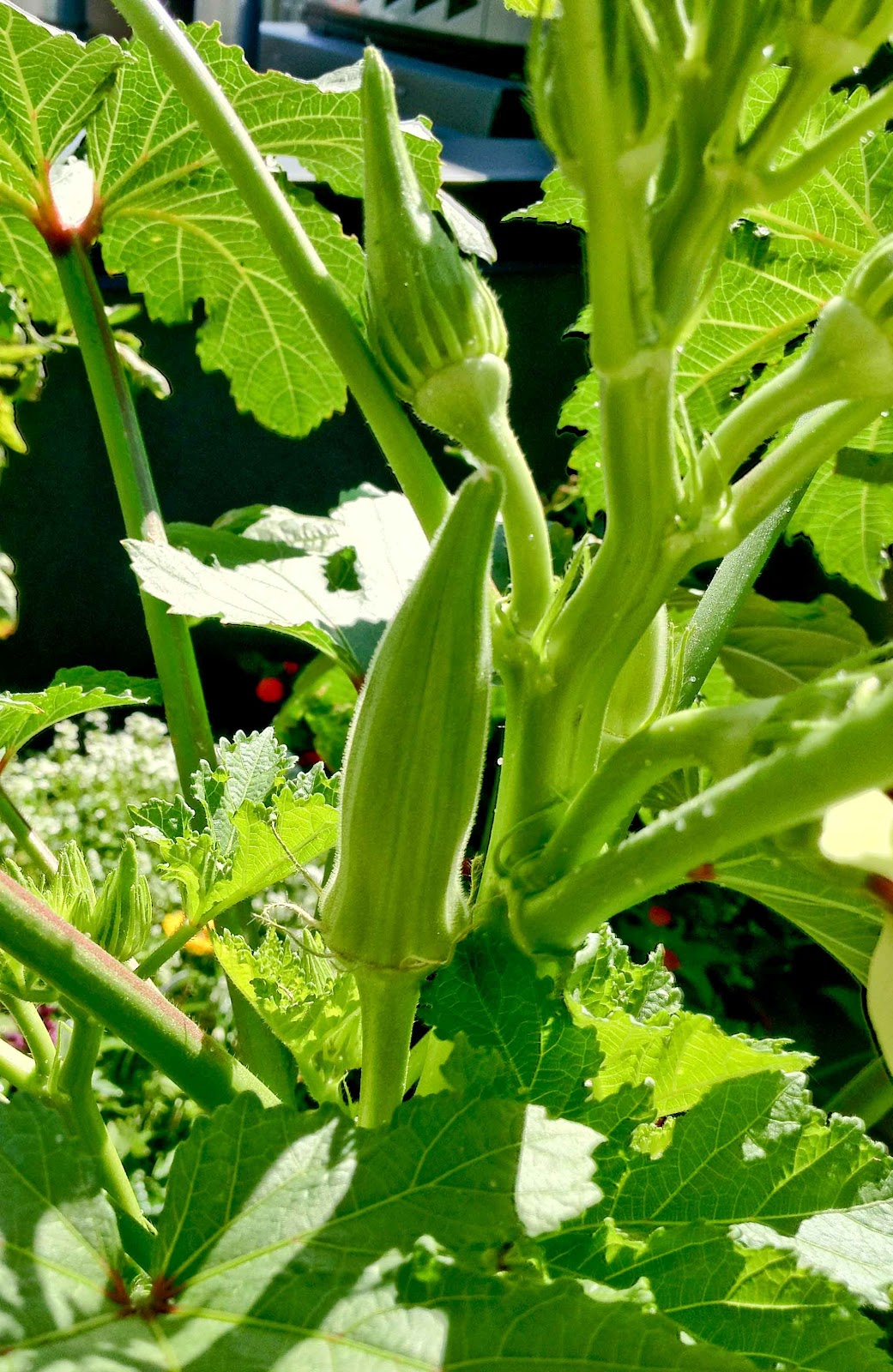 Found Spaces Gardener