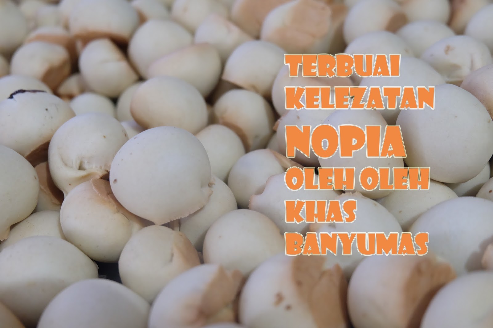 TERBUAI KELEZATAN NOPIA, OLEH OLEH KHAS BANYUMAS ~ DUNIAINDRA