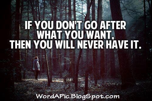 Pics With Words: Go After What you want, NOW!