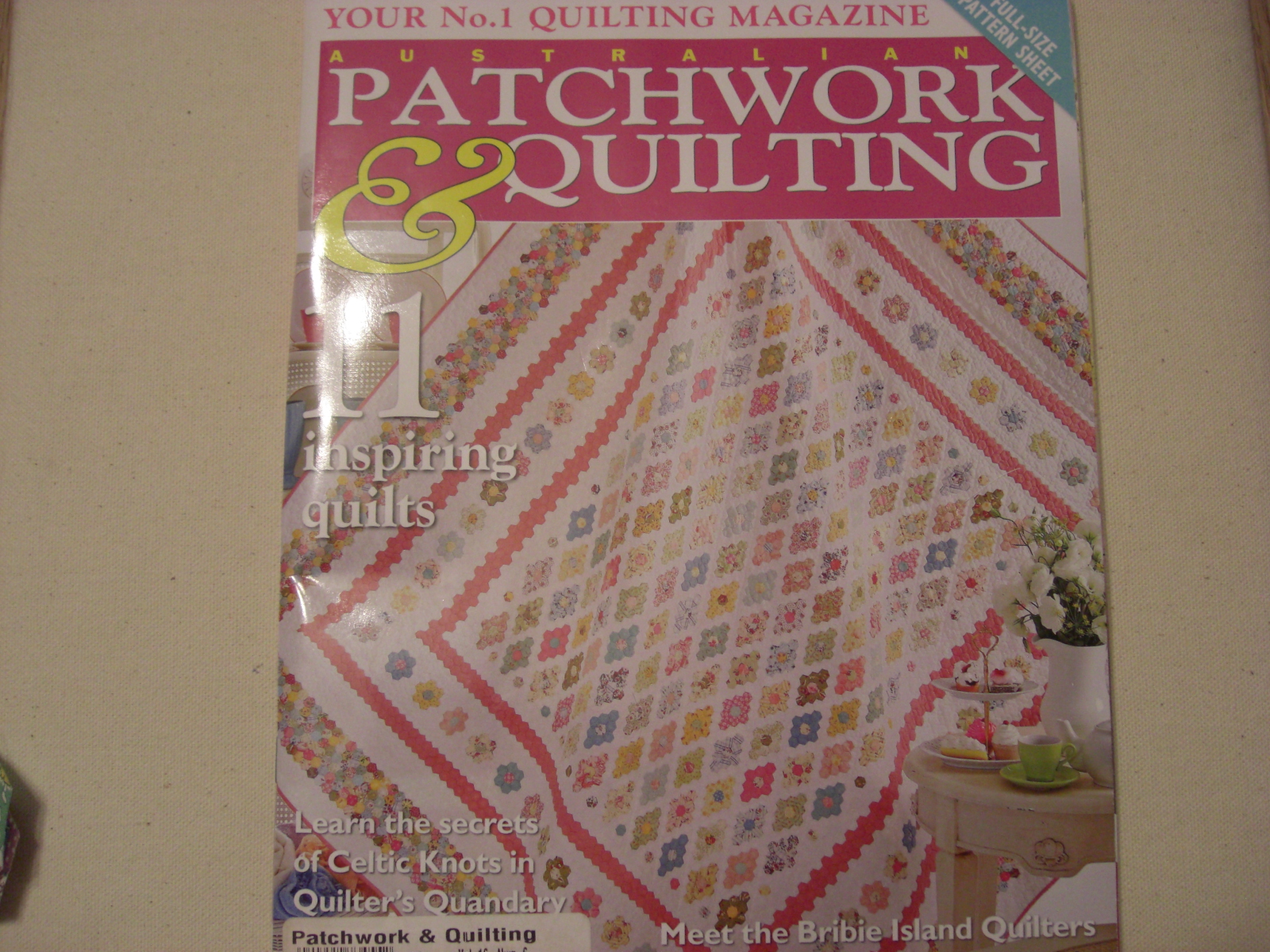 Kerri's Quilting: Insanity Quilt