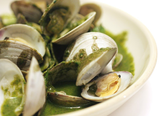 lisa is cooking: Steamed Clams and Basil Pesto