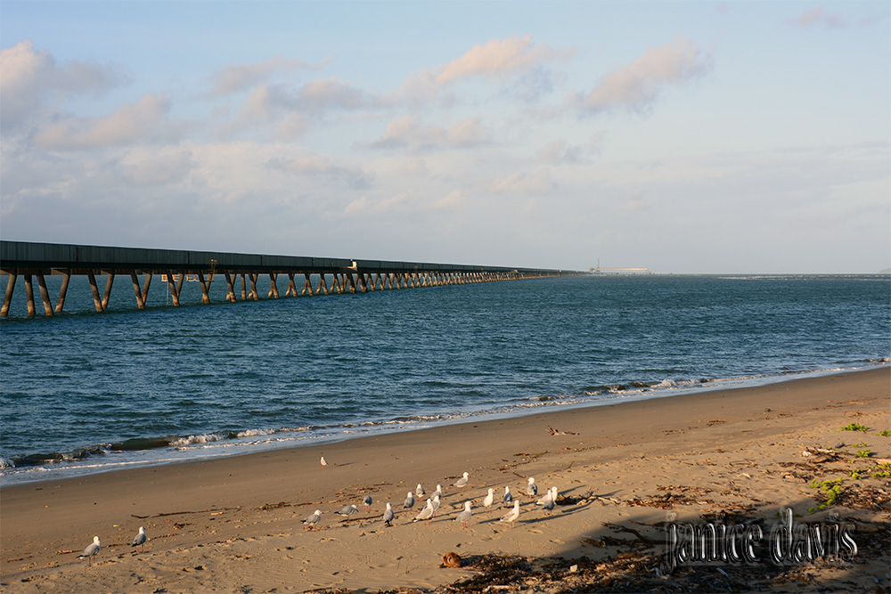 thoughts & happenings: To Lucinda, Queensland