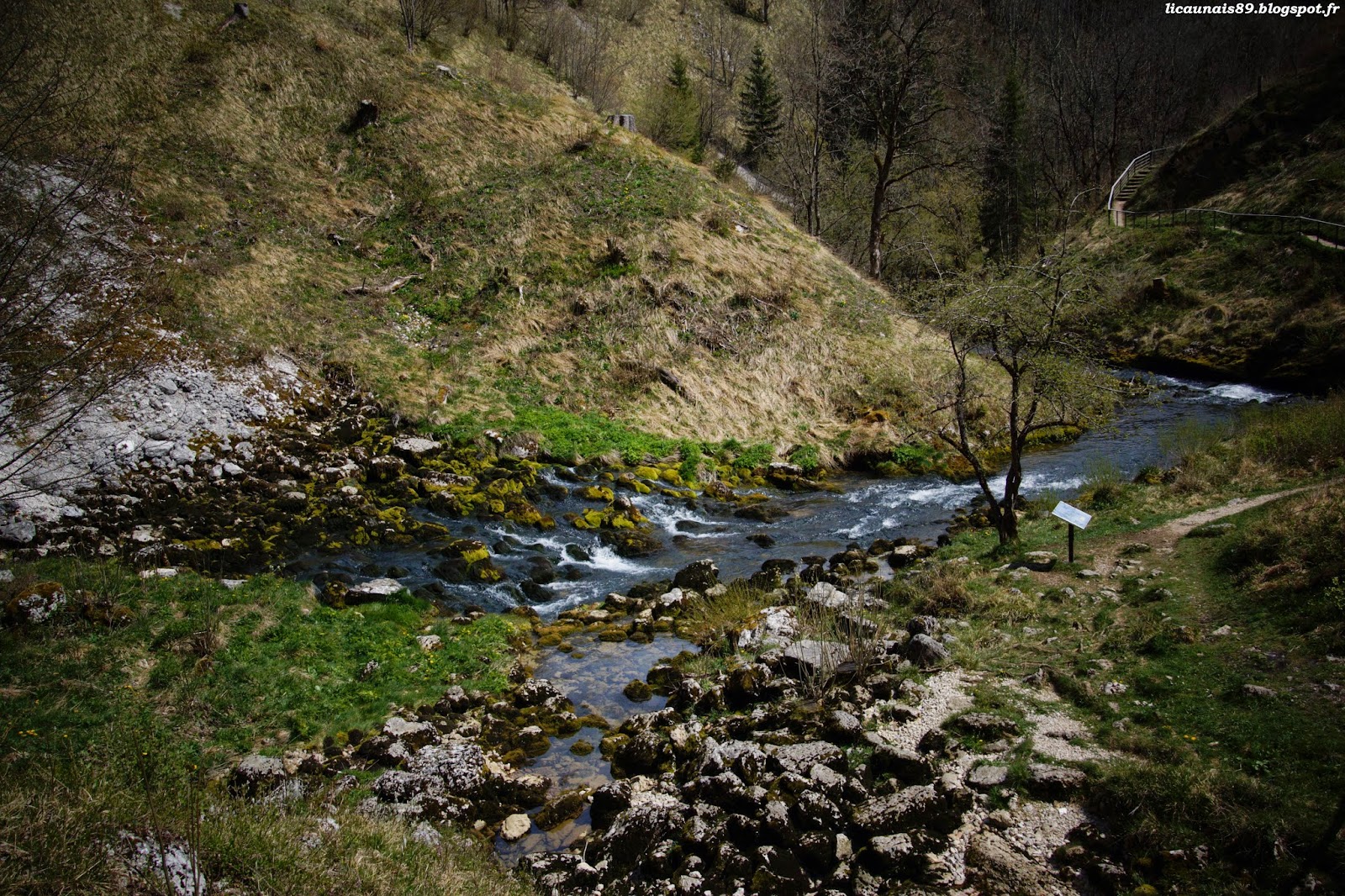 la vie est belle: En suivant la SAINE!!!!!! paysage paisible et magnifique.