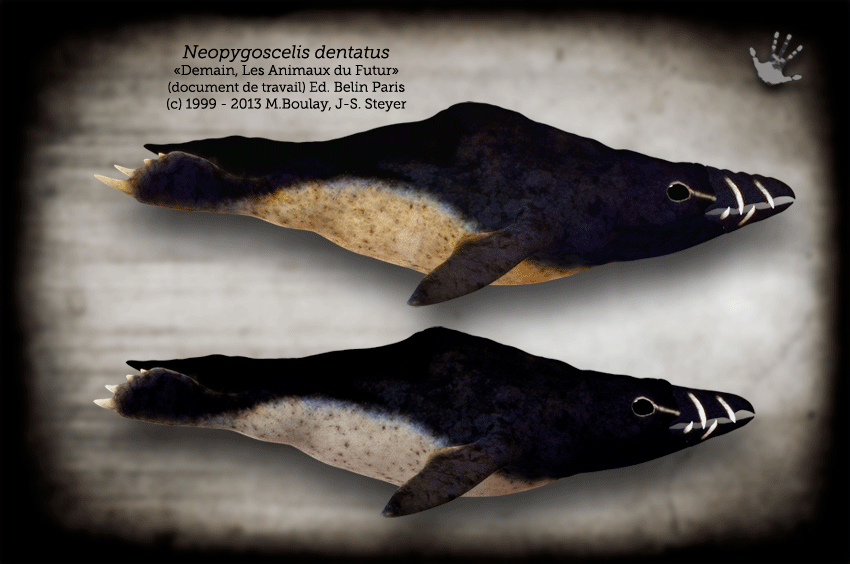 Furahan Biology and Allied Matters: Predatory penguin's evolution in ...