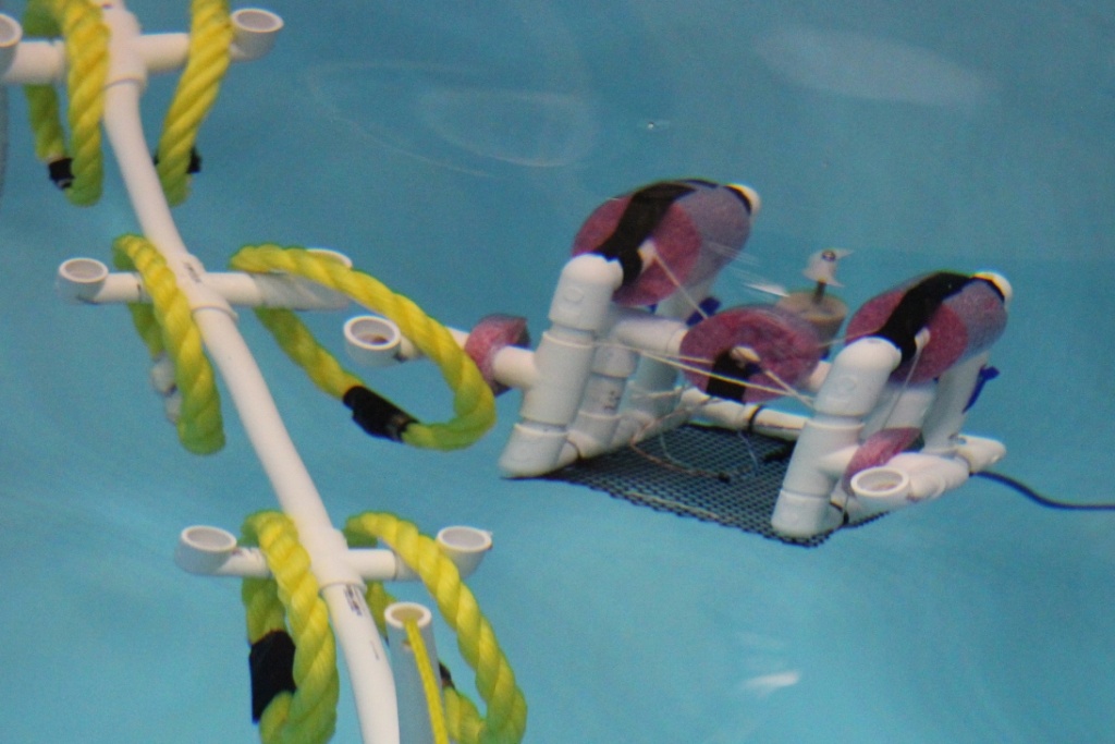 AA MAST Systems Engineering II, SeaPerch ROV : AA Background Information