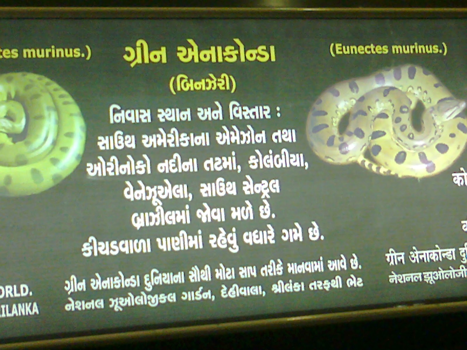 Kamla nehru zoo kankaria zoo ahmedabad - Green Ahmedabad: