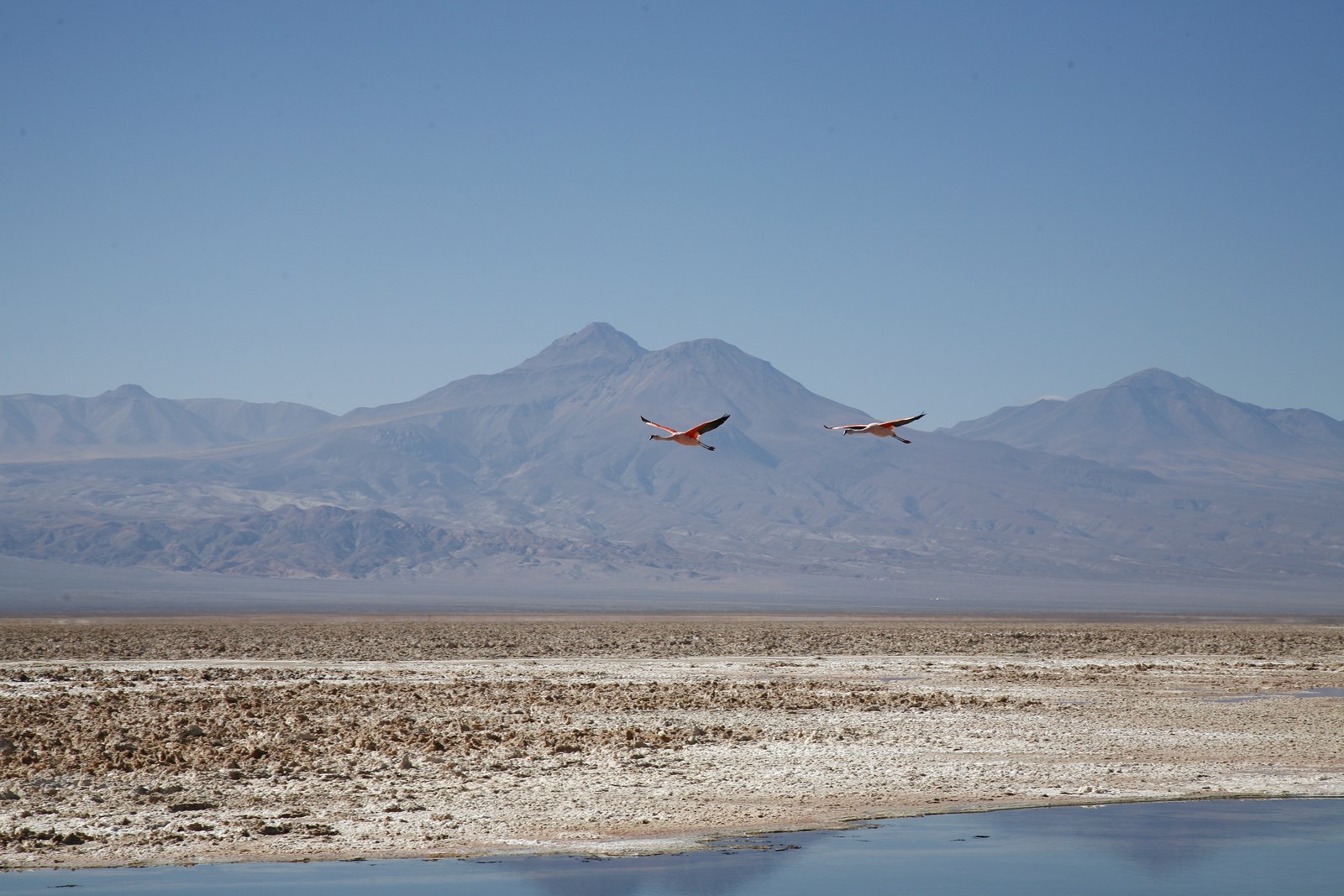 CHILE DE NORTE A SUR: SALAR DE ATACAMA - CHILE