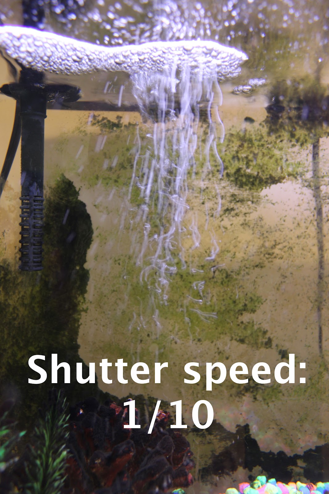 Completely Free Tutorials: Photography Tutorial: Shutter Speed & Motion