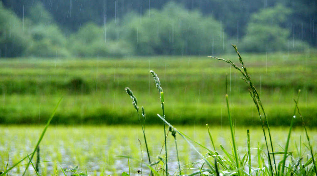 Random hirit sa Tag-ulan! - Fiel-kun's Thoughts