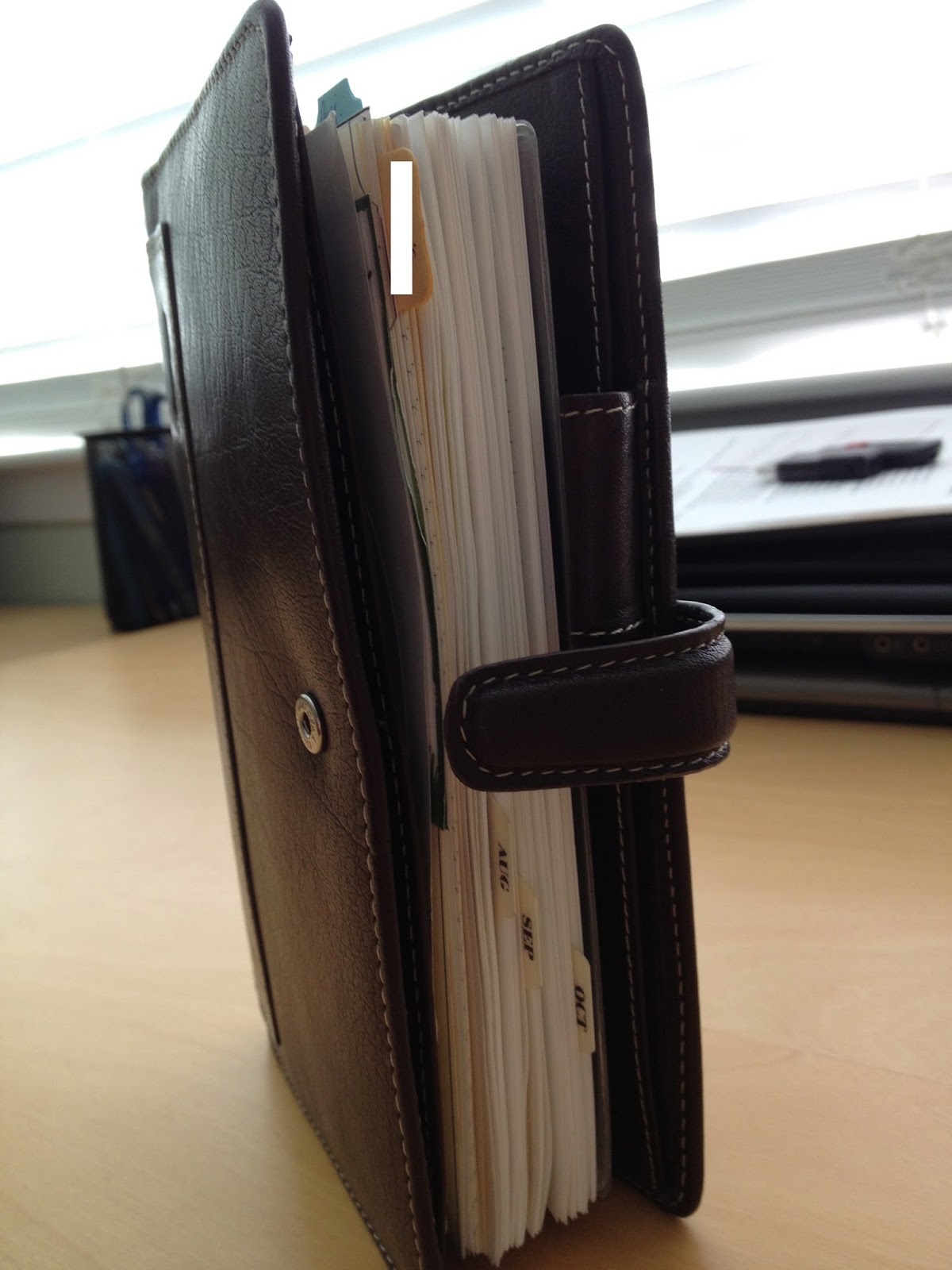 Introducing [Name Withheld… for the Moment]