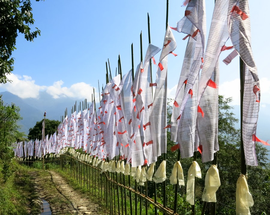 Sean Hellman: Lepcha homestay