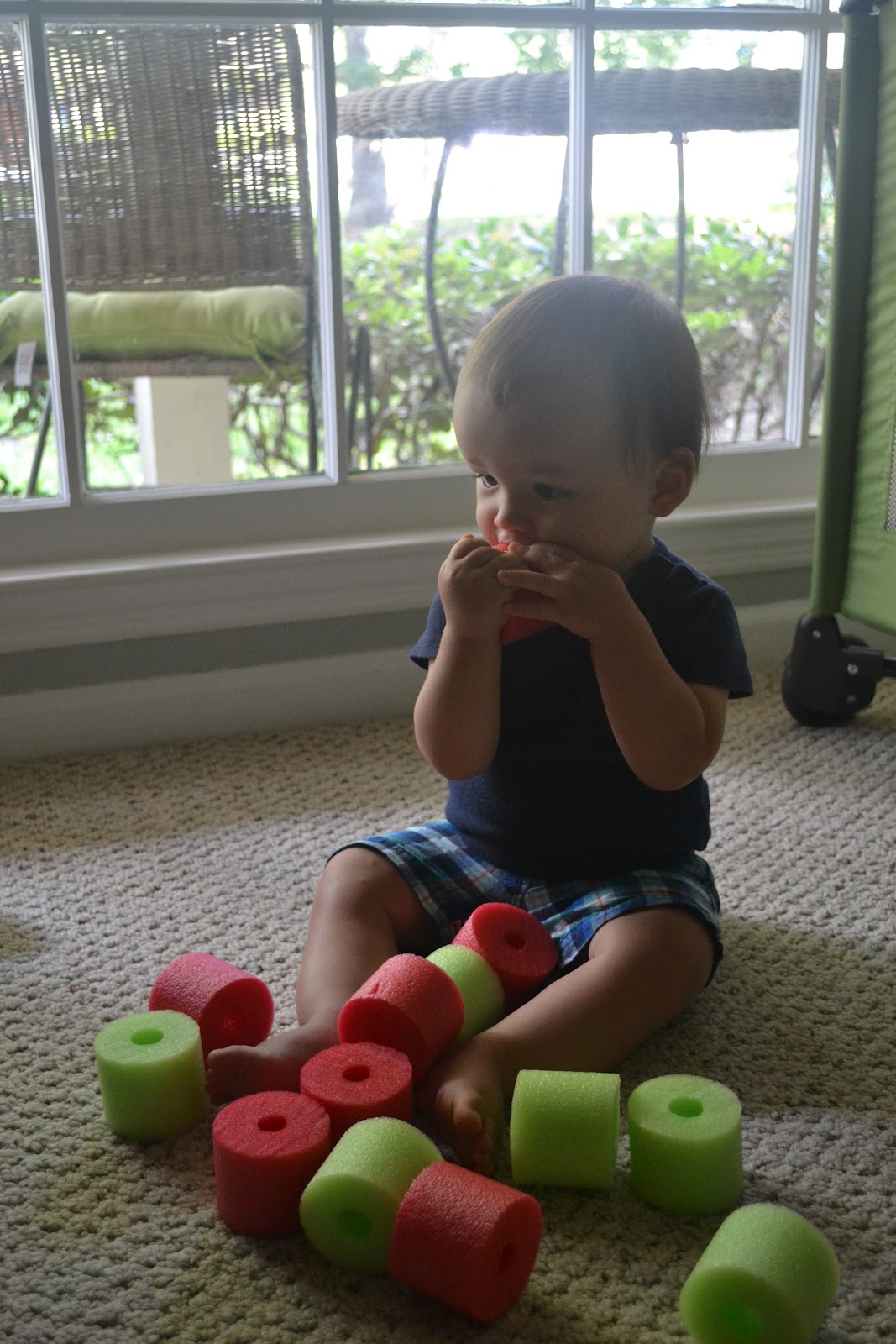 Adventures in Baby-ing: One Dollar Wednesday: Noodlebugs