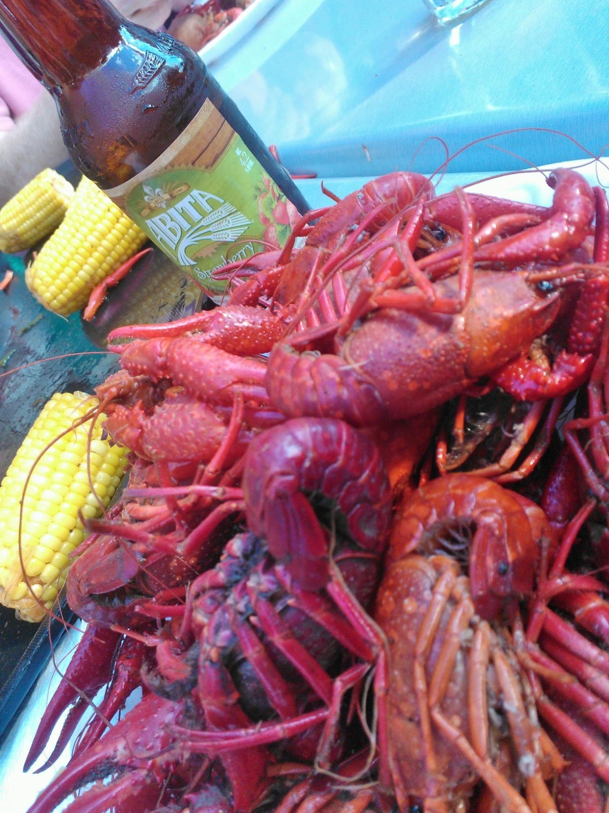 Gilbert Spills It: E2, the Breaux Bridge boiler, and the Tale of 5 ...