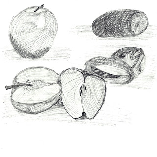 Megan Pharmer: Fruit Cross Section