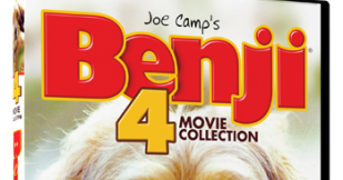 DVD Review - Benji: 4 Movie Collection - Ramblings of a Coffee Addicted ...